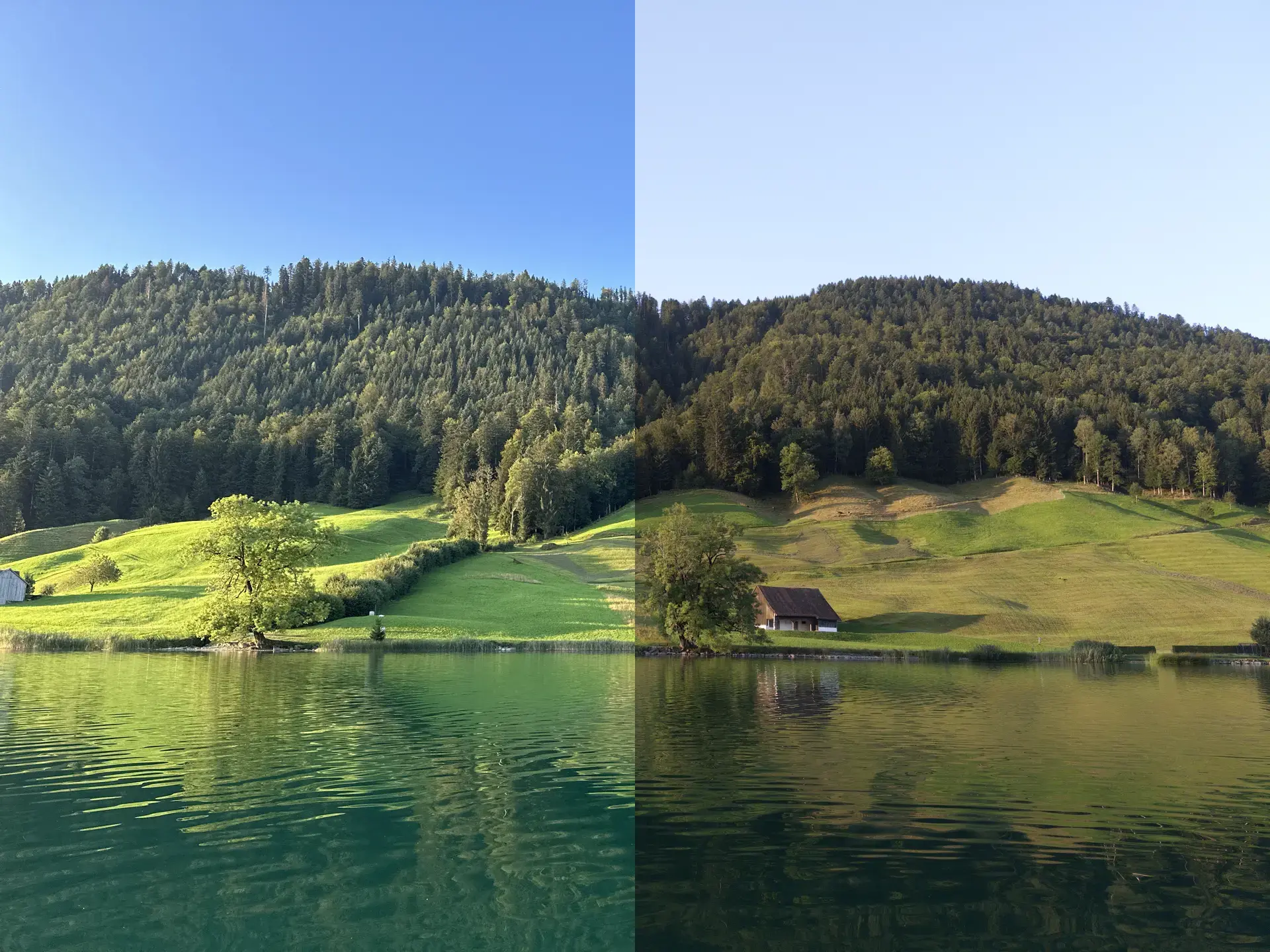 Apple Processed vs Process Zero